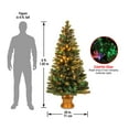 National Tree Company 5 ft. Fiber Optic Fireworks Evergreen Tree ...