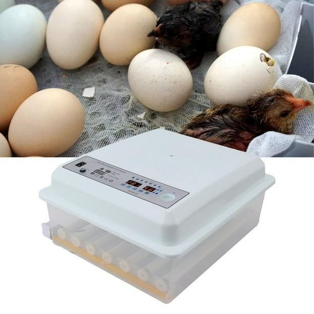 36 Eggs Egg Incubator, Incubators For Poultry Hatcher Machine, Dual ...