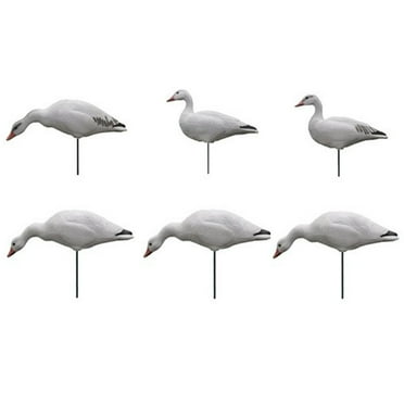 GHG Pro Grade XD Canada Goose Decoys - Harvester 4 Pack, Soft-bodied ...