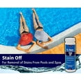 Rx Clear Stain Off Pool Stain Remover Liquid, 1 lb Bottle - Walmart.com
