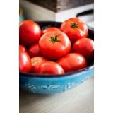 Floradade Tomato/ Annual/ Full Sun/ 2500 Seeds 1/4 oz/ Zellajake Farm ...