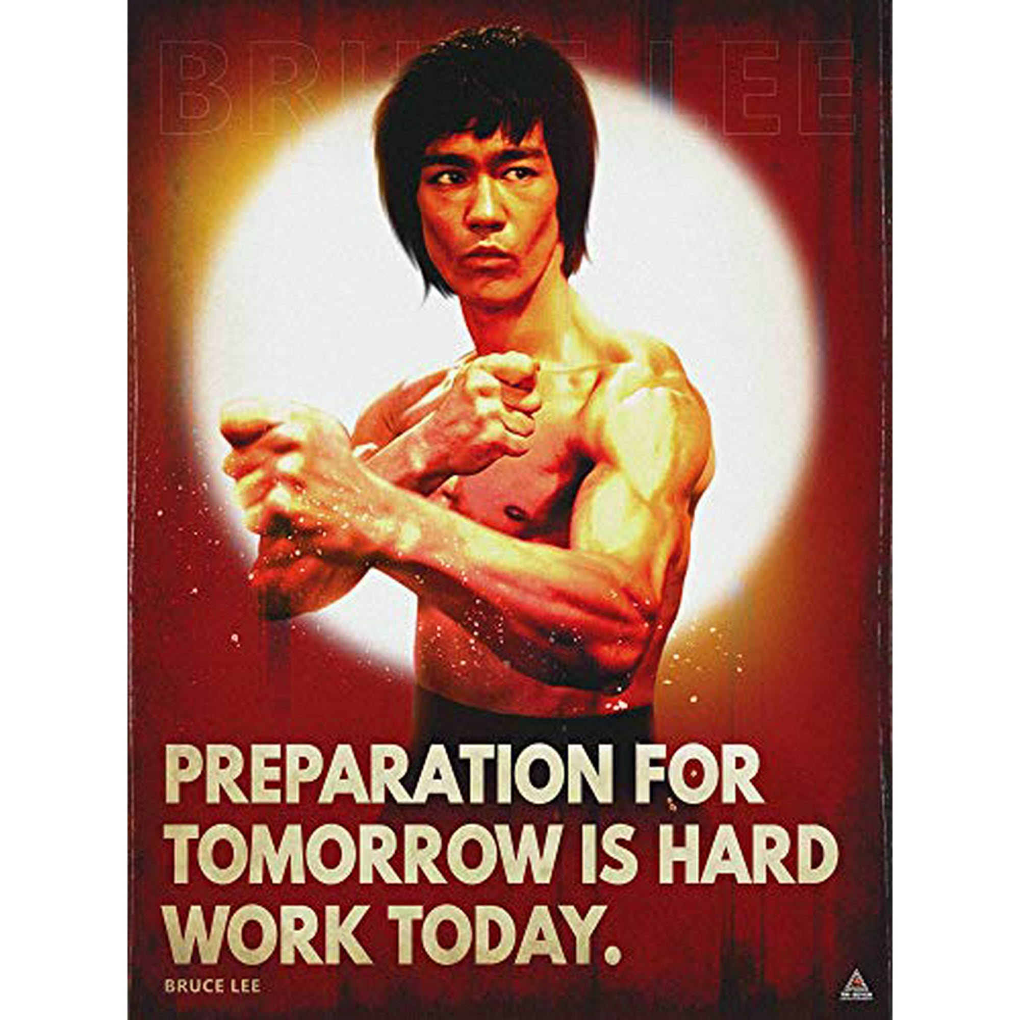 Click here for Tri-Seven Entertainment Bruce Lee Poster Preparati... prices