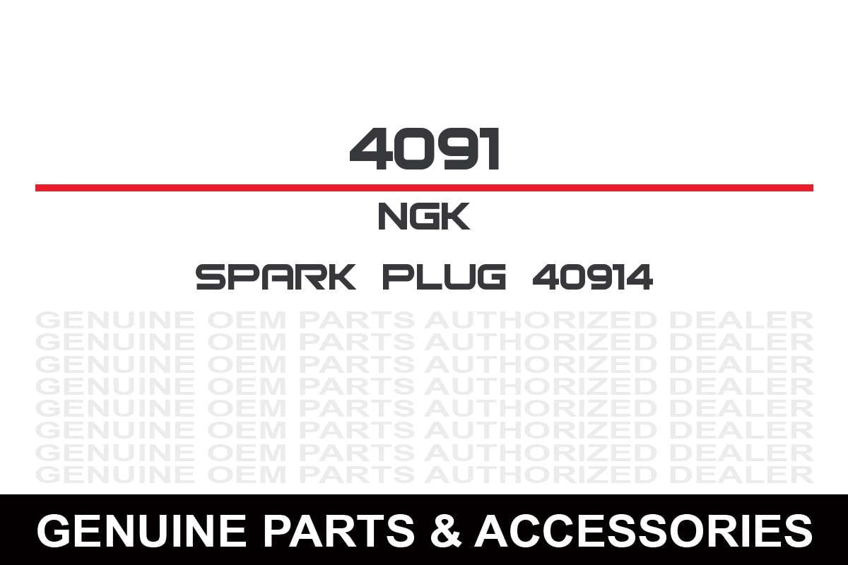 Ngk 4091 Ngk Racing Plug - Walmart.com