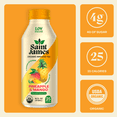 Saint James Pineapple and Mango Organic Green Tea, 16 fl oz, 4 Pack ...