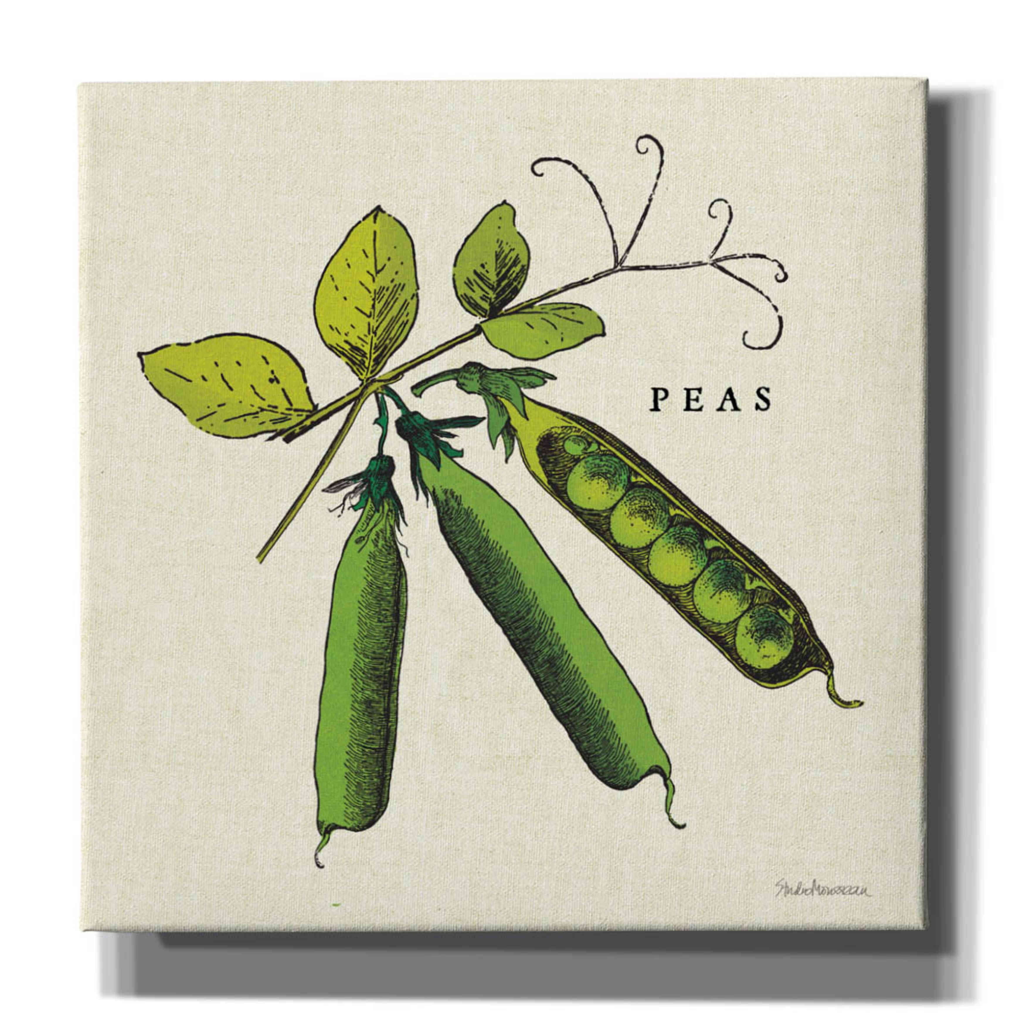 Epic Graffiti 'Linen Vegetable IV v2' by Studio Mousseau, Giclee Canvas ...