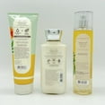 Bath and Body Works Marigold and Cane Sugar Body Cream, Body Lotion and ...