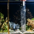 WSTEER 1 Set Mute Oxygen Aerator USB Charging Aquarium Water Pump Fish ... WSTEER 1 Set Mute Oxygen Aerator USB Charging Aquarium Water Pump Fish ...