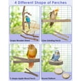 Bissap Bird Perch Stand 7PCS, Natural Grape Wood Pole Standing Parrot ...