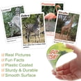 BenBen Go Fish Card Game for Kids 3+ 104 Jumbo Safari Animal Cards ...