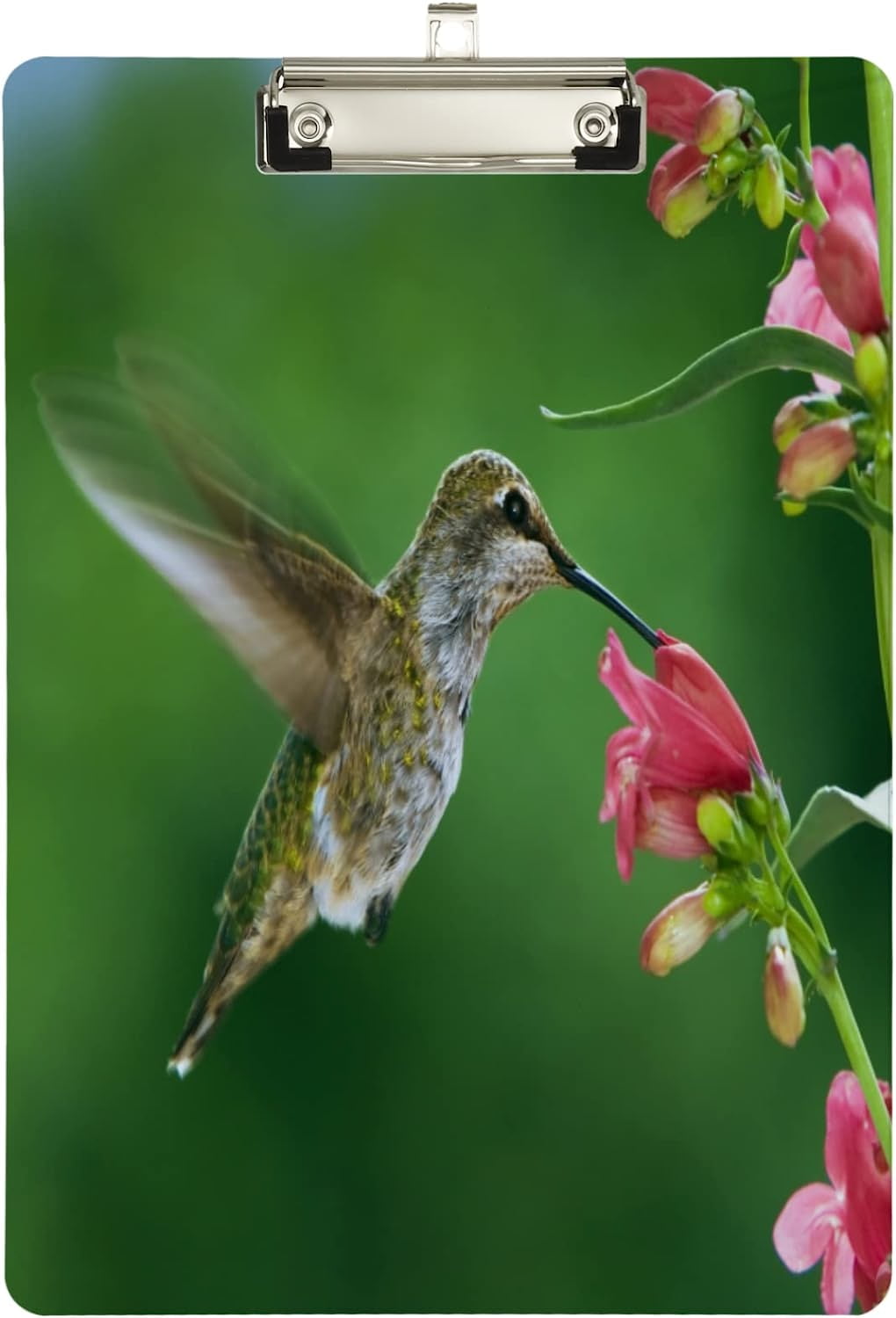 FMSHPON Spring Hummingbird Natural Clipboard Hardboard Wood Nursing ...