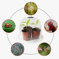 Frost-Proof Plant Domes & Pegs Set for Outdoor Greenhouse Effect ...