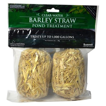 Beckett 1000 Gallon Barley Straw Bales Natural Filtration For Clean ...