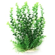 Java Moss - Easy Live Fresh Water Aquatic Plant for Fish Tank, Floating ...