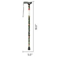 Equate Offset Walking Cane with Cushioned Handle for Comfort, Height ...