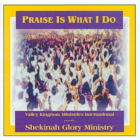 Praise Is What I Do (CD) - Walmart.com