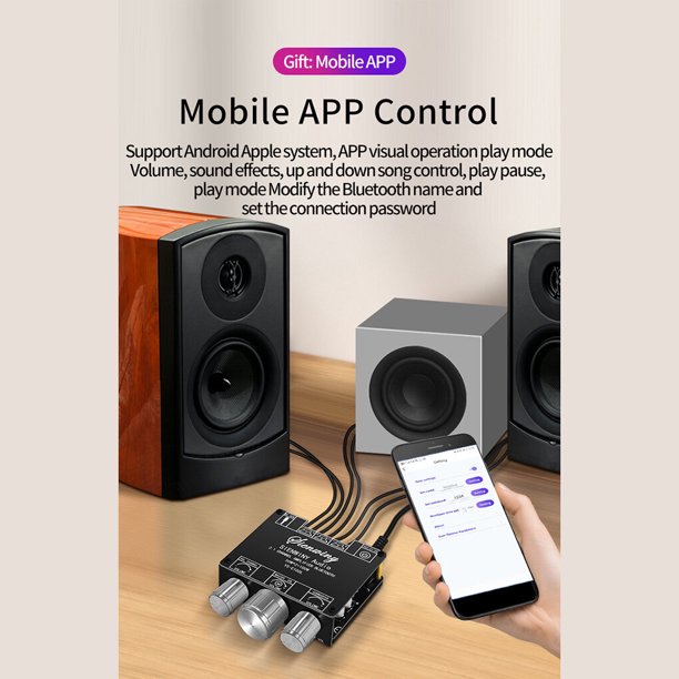 ruzhgo 100W Audio Amplifier Subwoofer Amplifiers Board Power Amplifiers ...