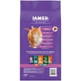 Iams High Protein Healthy Kitten Dry Cat Food with Chicken, 3.5 lb ...