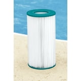 Mainstays Pool Filter Cartridge for Above Ground Pool, Type III, 2 Pack ...