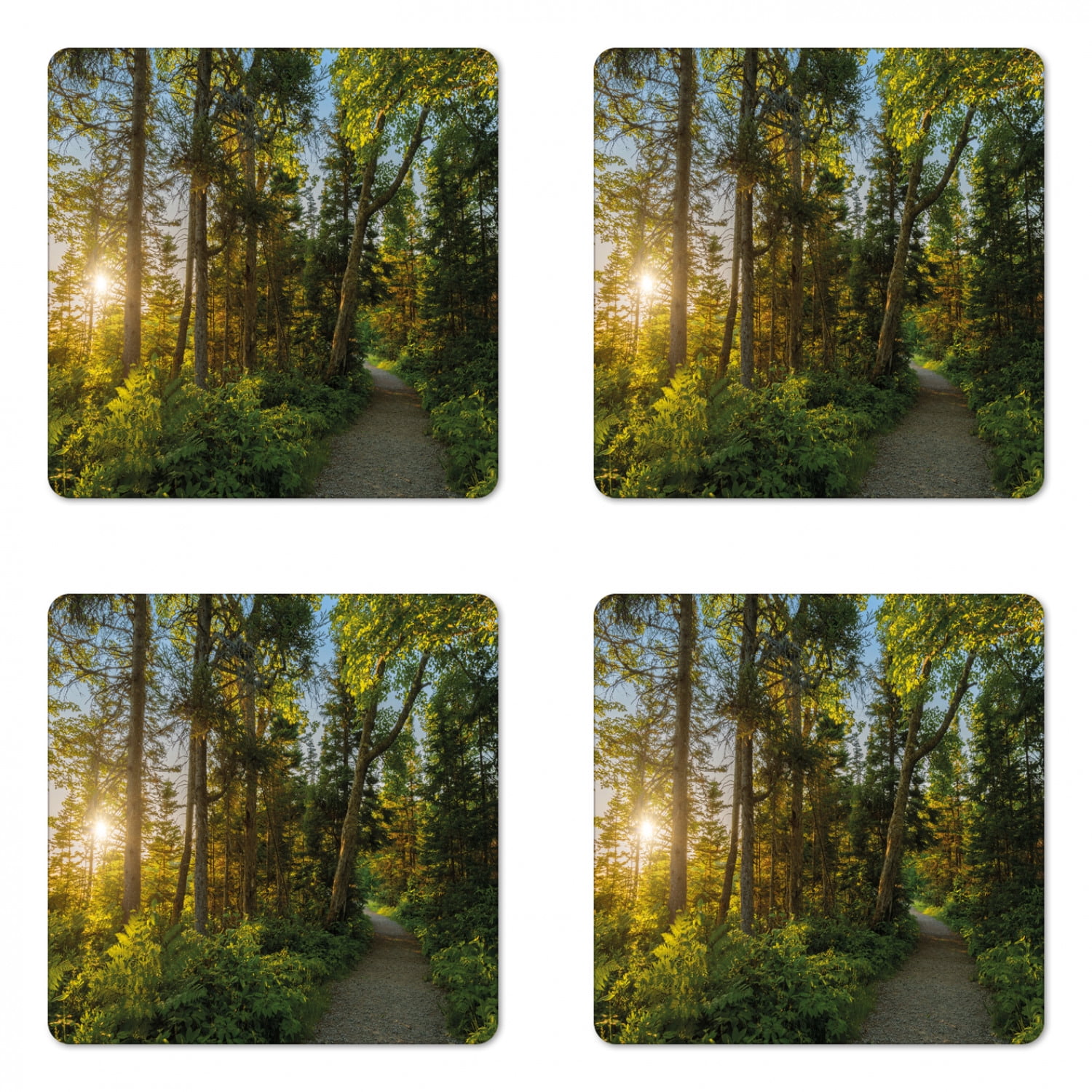 Landscape Coaster Set of 4, National Park in Cape Breton Highlands ...
