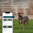 Whistle Go Explore Dog GPS Tracking Device and Pet Health Monitoring ...