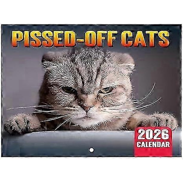 PISSED-OFF Cats Calendar 2026,12 Month Square Angry Cat Wall Calendar ...