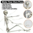 5.5ft Life-Size Posable Skeleton - Realistic Halloween Prop with ...