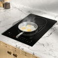 12-in Portable Dual Heating Element 1800-W Countertop Induction Cooktop ...