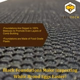 NuBee 8 Frame Deep Brood Box with Frames & Foundations (Unassembled ...