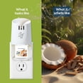 Scent Fill Coconut Sandalwood Plug in Air Freshener, Scented Oil ...