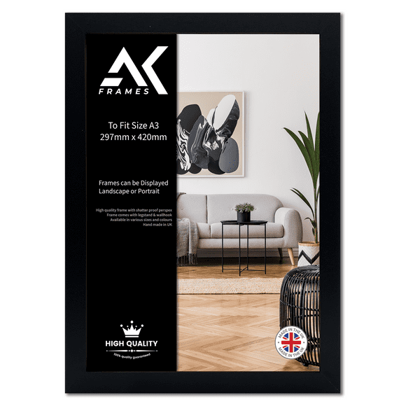 A3 Frames
