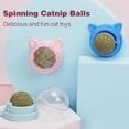EZSZQWL Interactive Fun and Healthy Natural Edible Catnip Wall Ball ... EZSZQWL Interactive Fun and Healthy Natural Edible Catnip Wall Ball ...