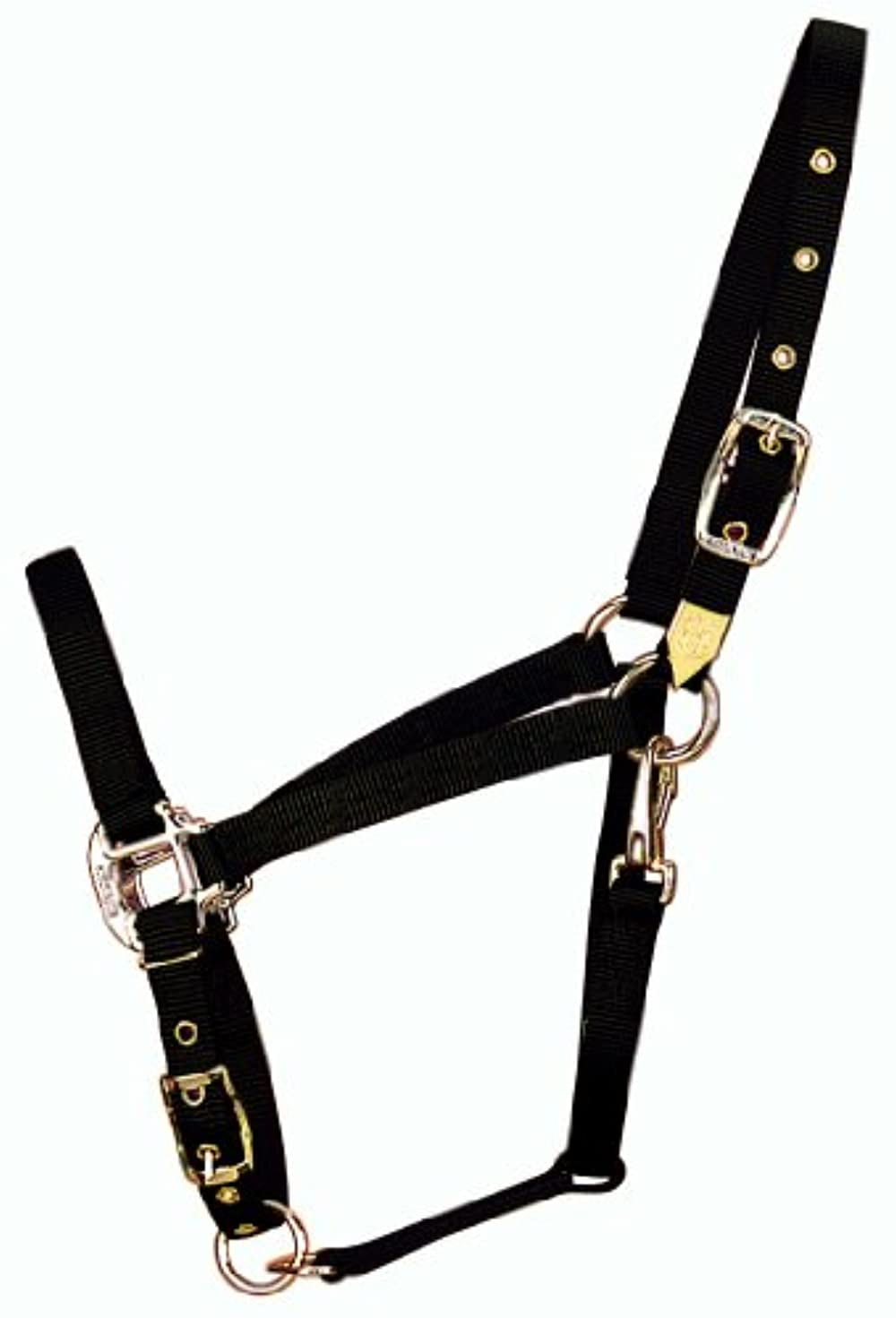 Hamilton 3/4-Inch Nylon Arabian Horse Halter with Adjustable Chin and ...