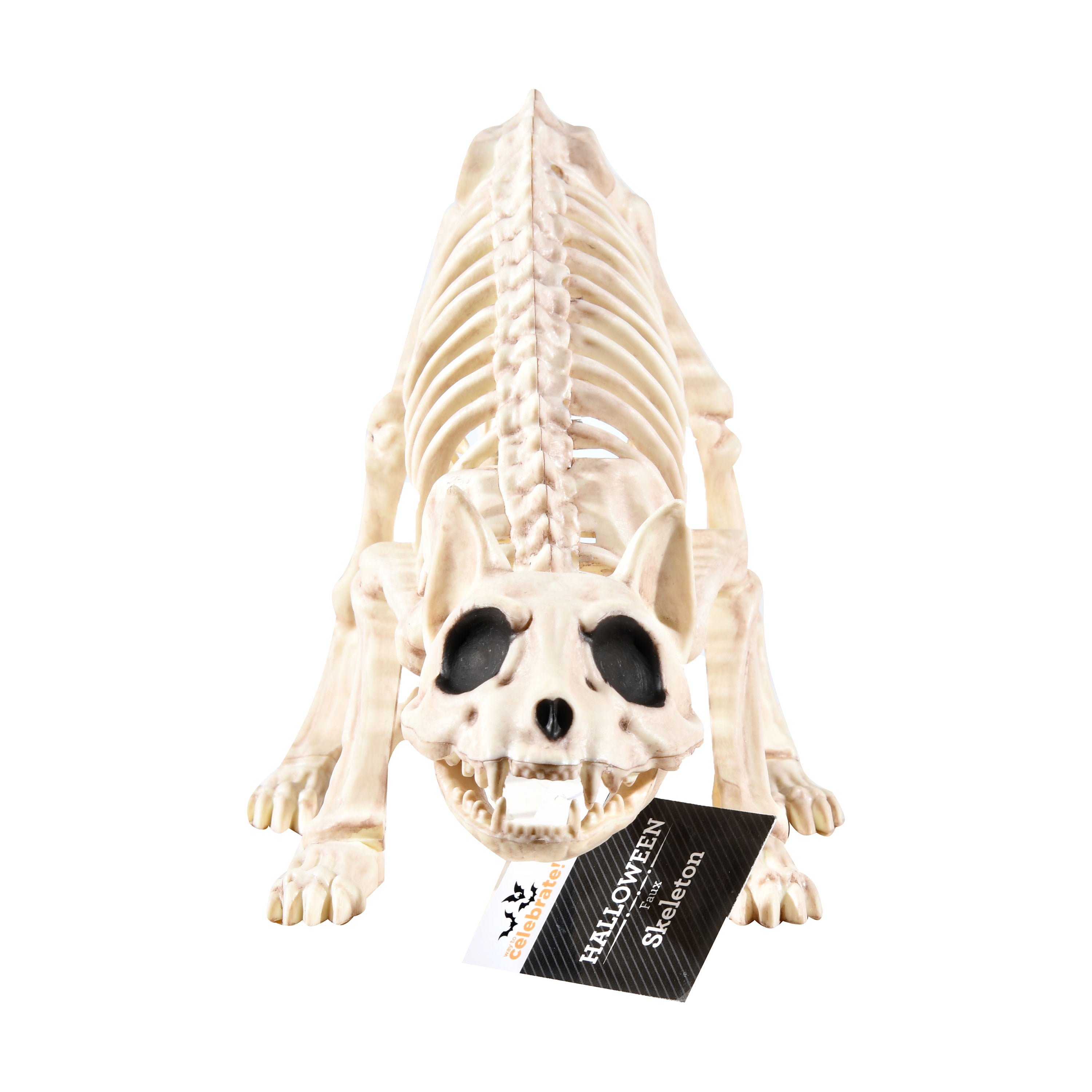 Halloween Faux Skeleton Crazybonez Pouncing Cat Halloween Decoration ...