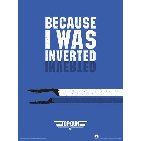 Top Gun Inverted Poster | Walmart Canada