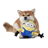Minions: 8" Dave Rope Limb Pull Toy - Walmart.com