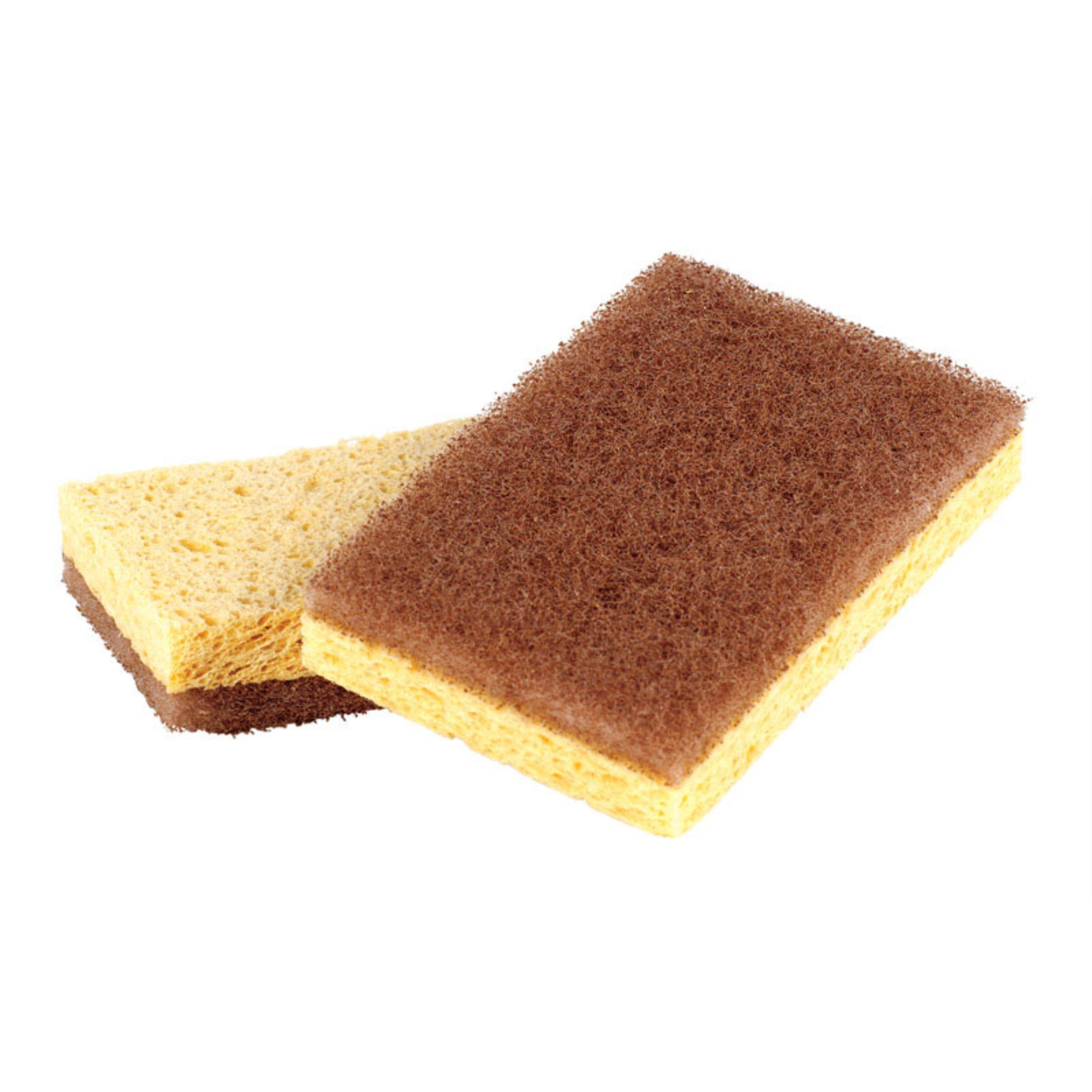 WALNUT SCRUBR SPONGE (Pack of 1) - Walmart.com
