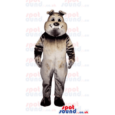 All Grey Dog Plush SPOTSOUND Mascot With A Happy Face And Smile ...
