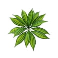Artificial Foliage for Indoor Outdoor Decoration, Realistic Plastic ...