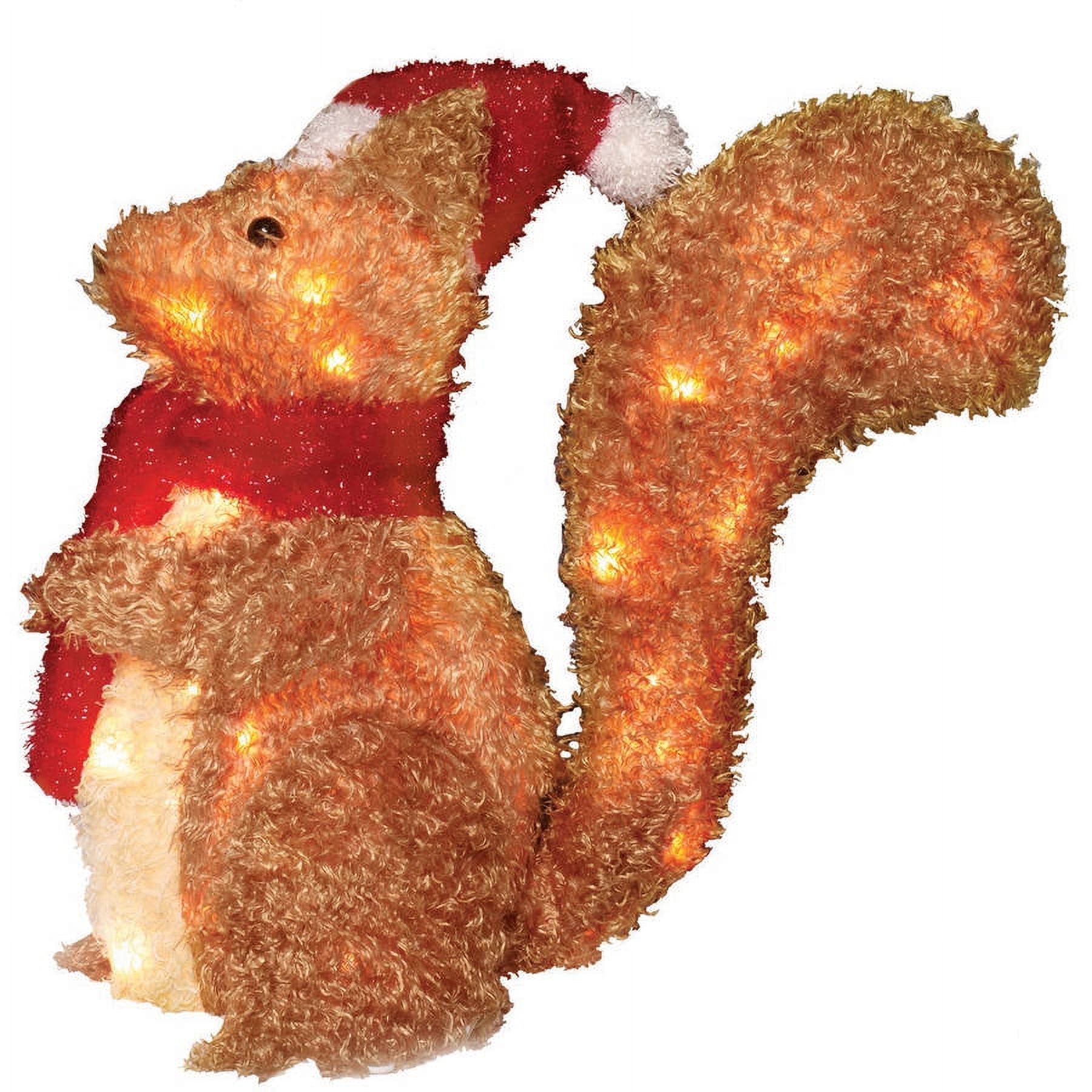Up Squirrel Scene