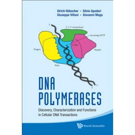 DNA Polymerases: Discovery, Characterization and Functions in Cellular ...