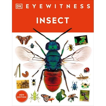 Bugs (Paperback) - Walmart.com