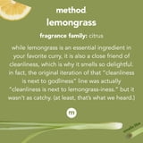 Method Heavy Duty Degreaser Oven and Stove Top Cleaner Lemongrass 28 ...