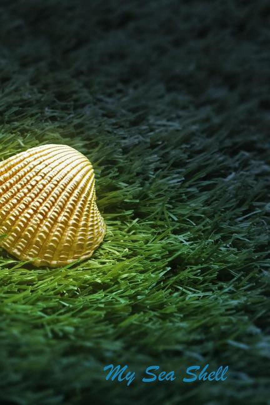My Sea Shell: 120 Page Softcover, Has Both Lined Pages with Various ...