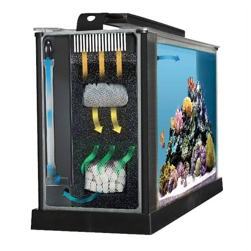 Saltwater Aquarium Filtration Setup