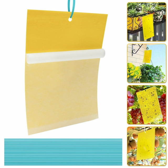 Venoro 60 PCS Sticky Fly Traps Gnat Trap Flies Insect Glue Catcher w ...
