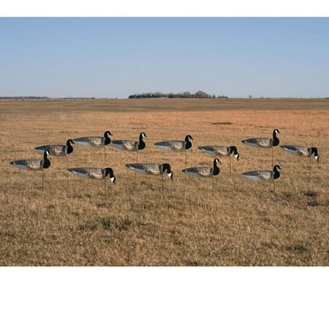 GHG Decoy Systems Pro Grade XD Canada Goose Decoys - Harvester 4 Pack ...