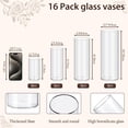 16 Pack Glass Cylinder Vases 4, 6, 8, 10 Inch Tall Clear Flower Vases ...