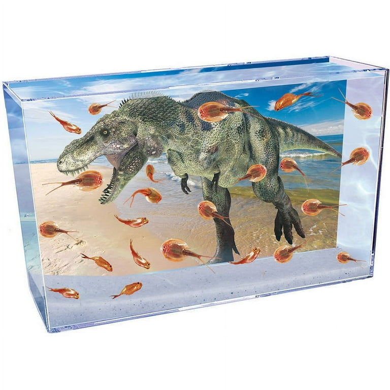 Prehistoric Sea Monsters Kit