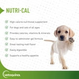 Vetoquinol Nutri-Cal High Calorie Nutritional Oral Gel for Dogs and ...