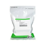 Montezuma Oat Seeds - 1 OZ ~900 Seeds - Non-GMO, Open Pollinated Oats ...